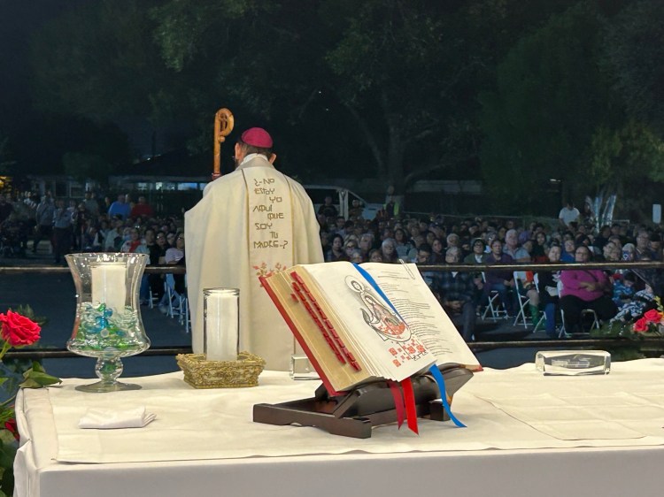 Homilies for The Solemnity of the Immaculate Conception and The Feast ...